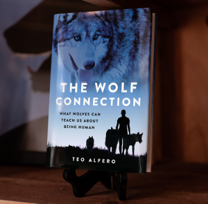 Wolf Connection: Discover Wolf Therapy® and Transform Lives