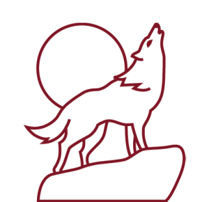 Wolf Connection: Discover Wolf Therapy® and Transform Lives