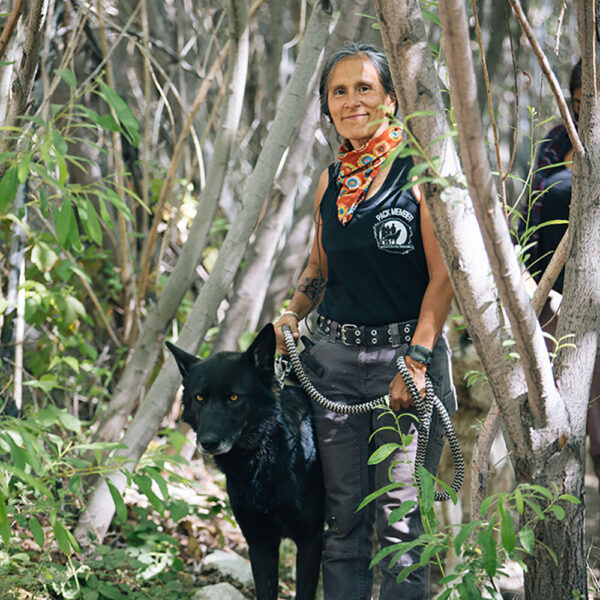 Join the Volunteer Program at Wolf Connection - Make an Impact