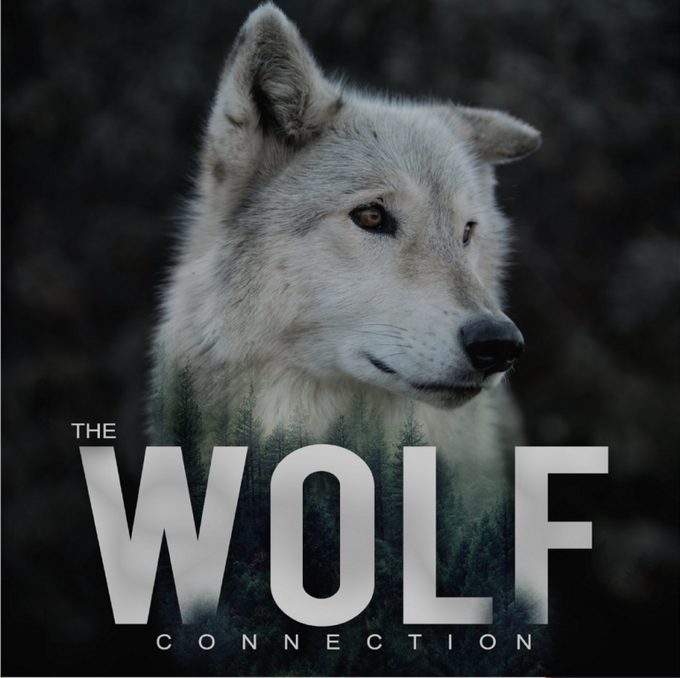 Wolf Connection: Discover Wolf Therapy® and Transform Lives