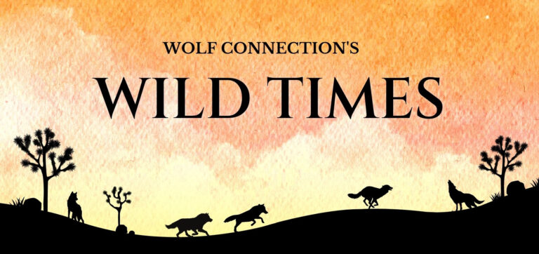 Wolf Connection: Discover Wolf Therapy® and Transform Lives