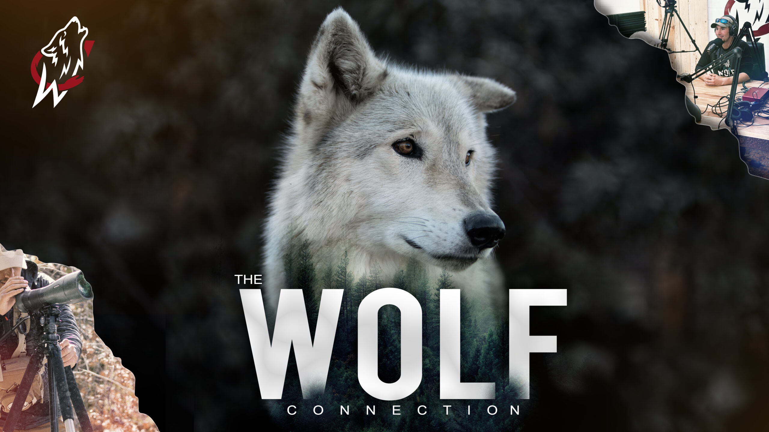 Exploring Humans & Wolves: The Wolf Connection Podcast