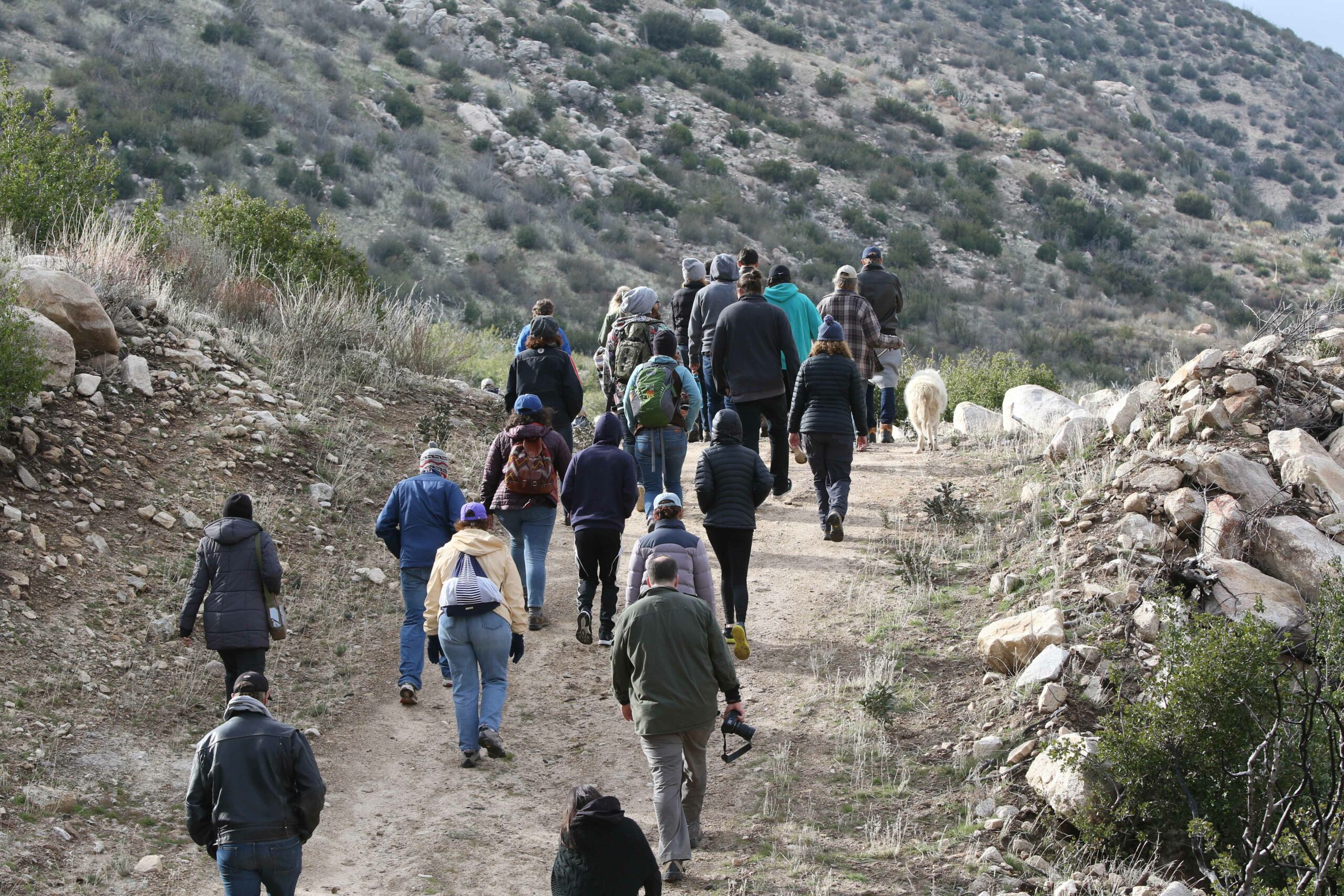 Empowering Growth Through Wolf Therapy® Since 2009