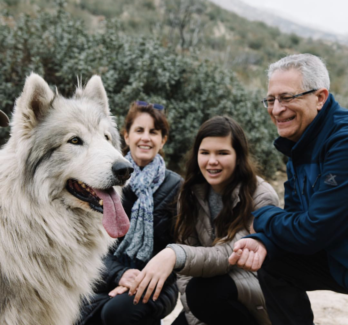 Discover Our Mission: Healing Humans & Wolves Alike