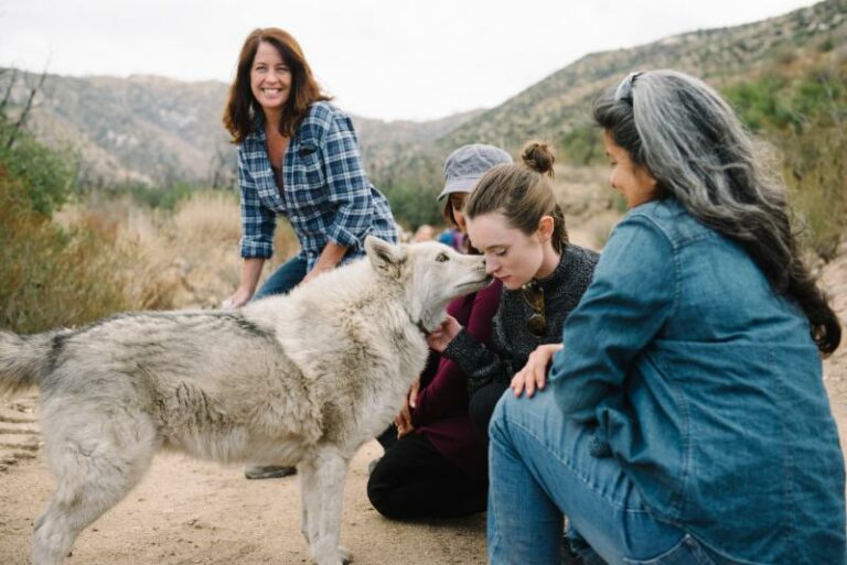 Discover Our Mission: Healing Humans & Wolves Alike