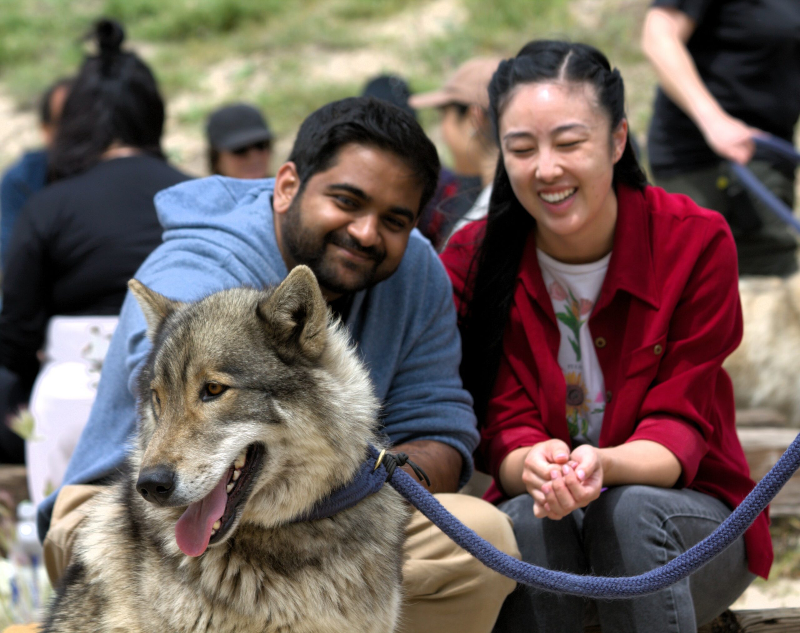 Discover Our Mission: Healing Humans & Wolves Alike