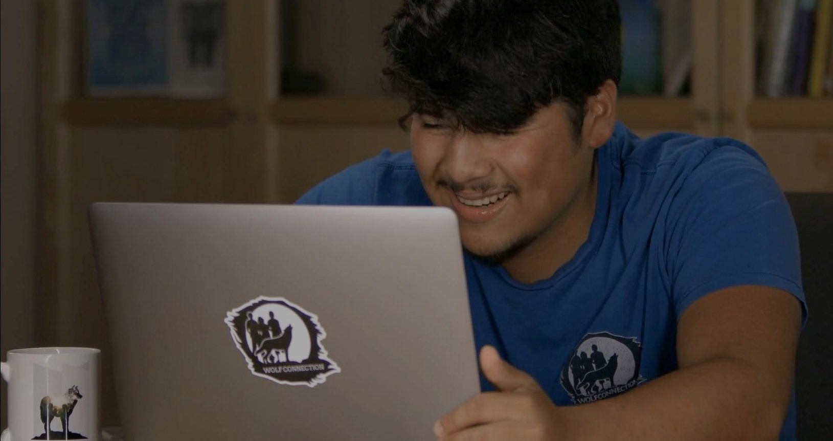 Wolf Connection: Discover Wolf Therapy® and Transform Lives