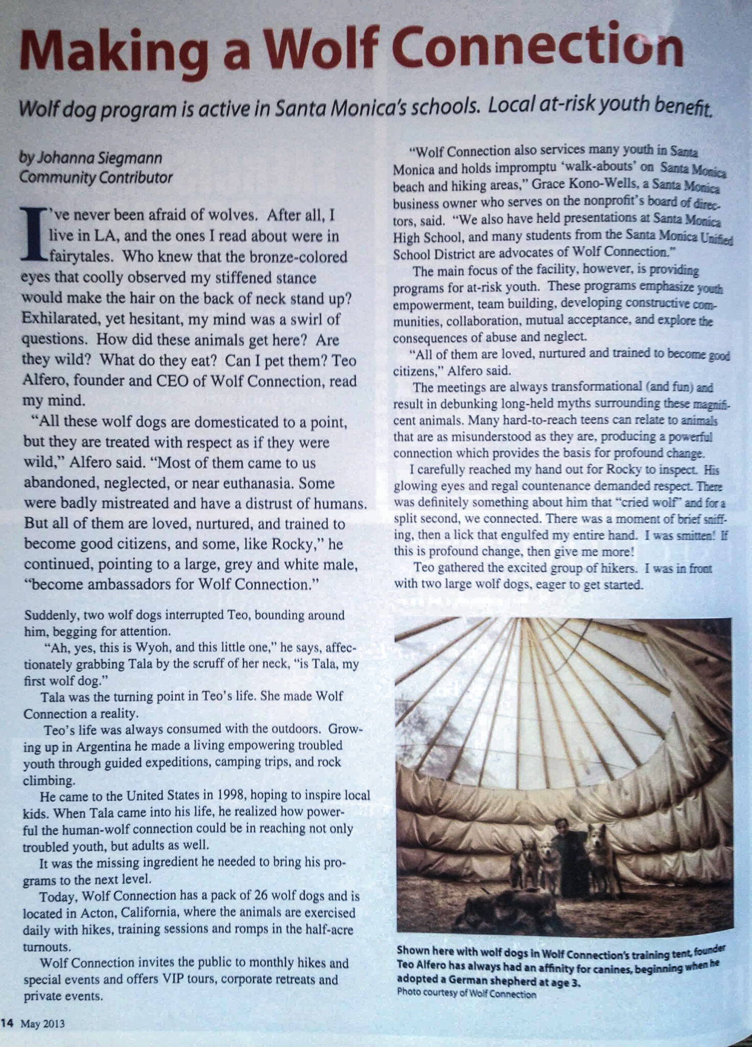 Santa Monica Life: Making a Wolf Connection - Wolf Connection