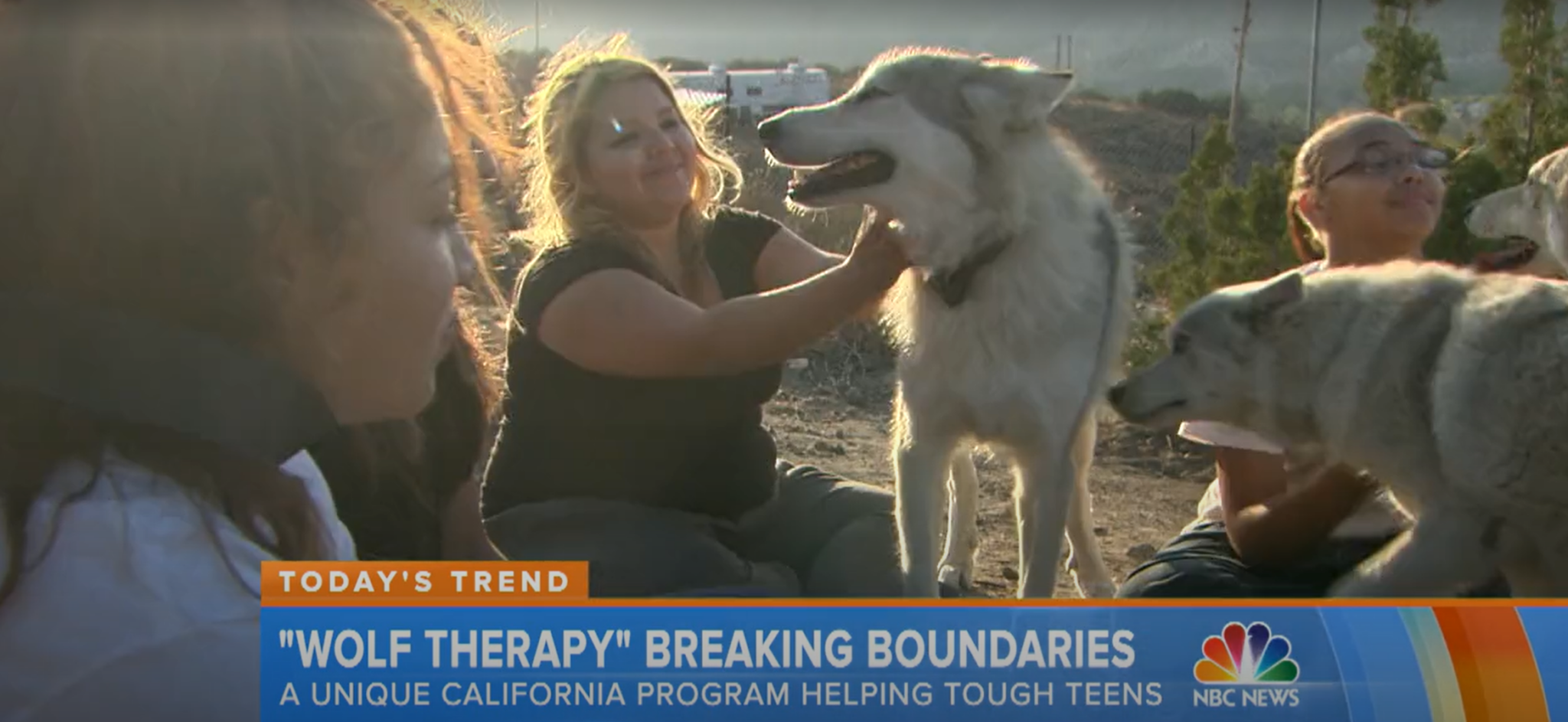 Wolf Connection Press Page: Healing Humans & Wolves Together