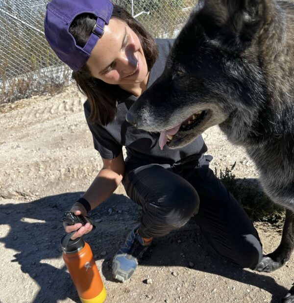 Discover the Volunteers Making Wolf Connection Possible
