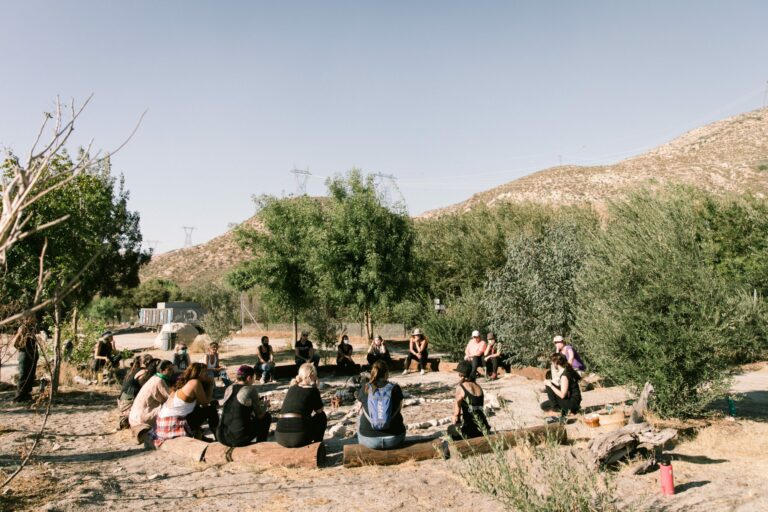Women & Wolves Immersive Program at the Wolf Connection