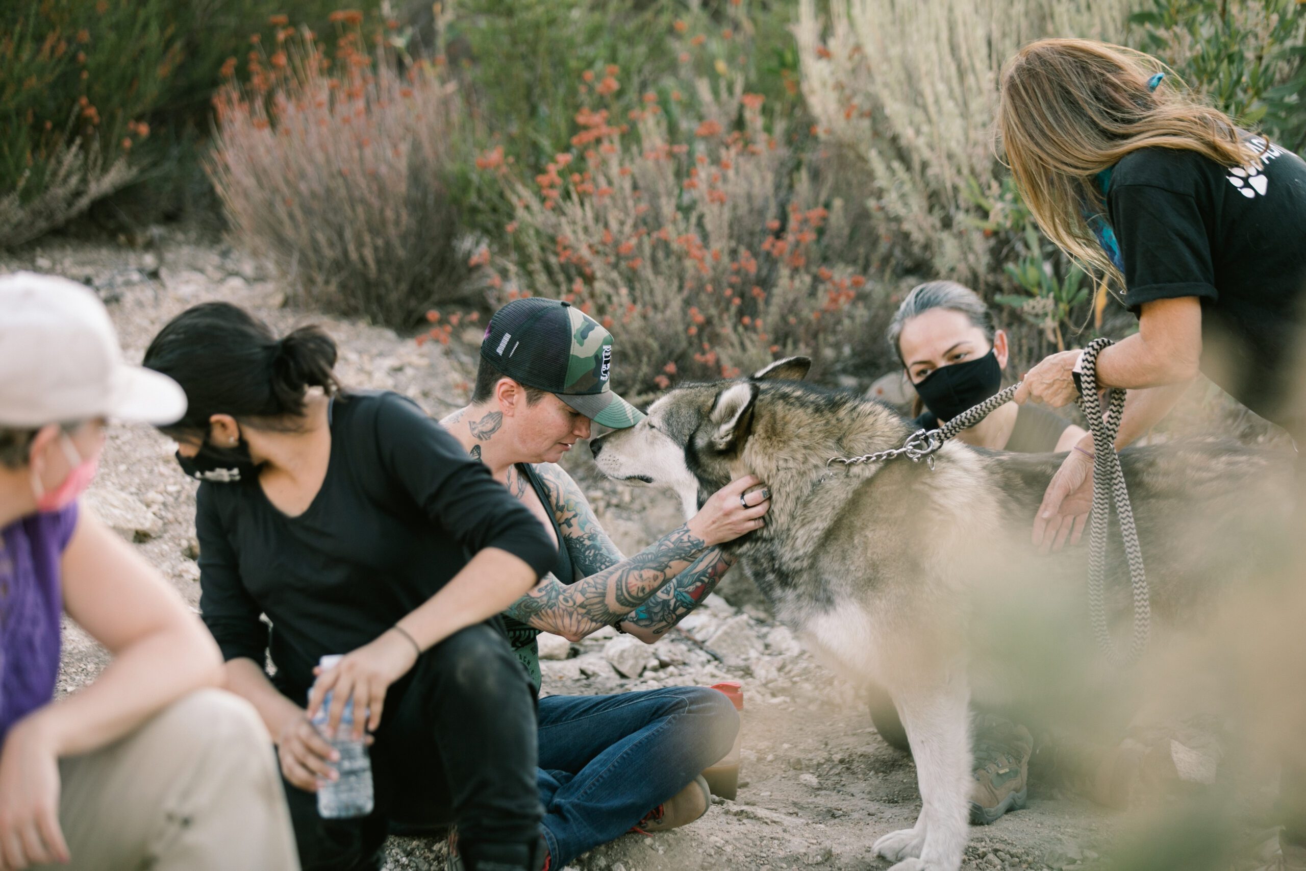 Women & Wolves Immersive Program at the Wolf Connection