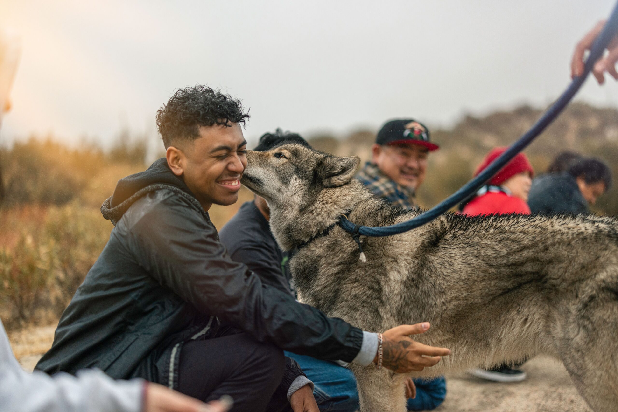 Discover Our Mission: Healing Humans & Wolves Alike